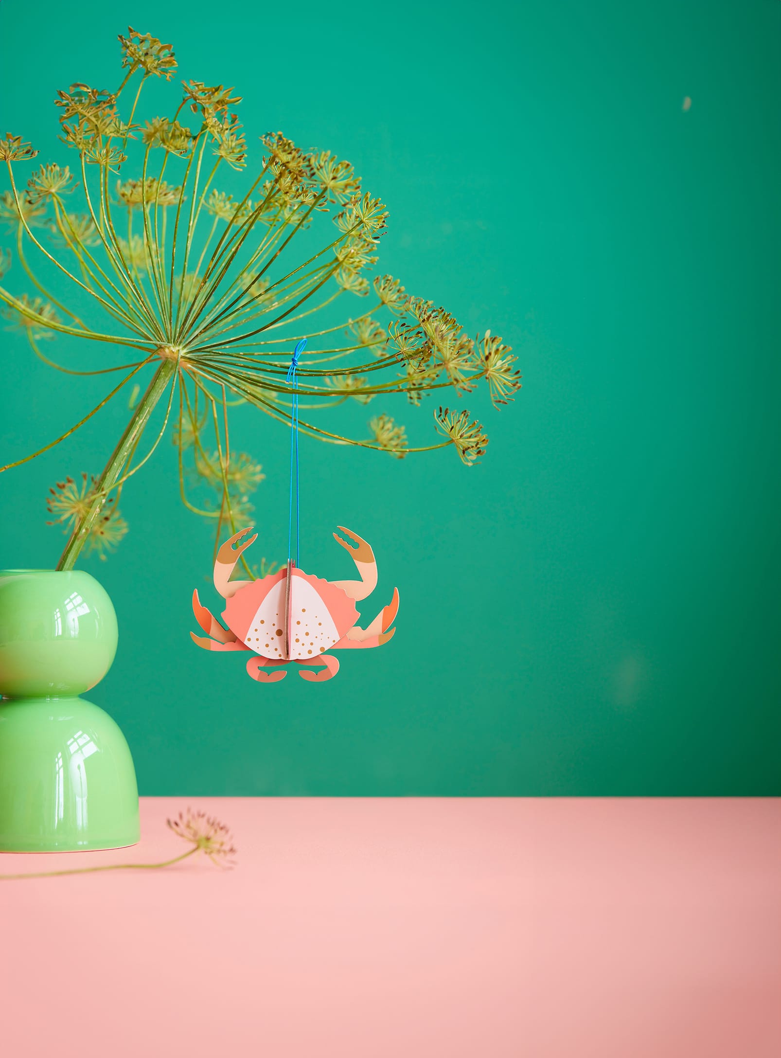 Crab: Cardboard Decoration - Studio Roof – Nüspace